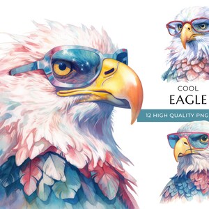 Watercolor Eagle Clipart With Sunglasses (digital Download) - Etsy