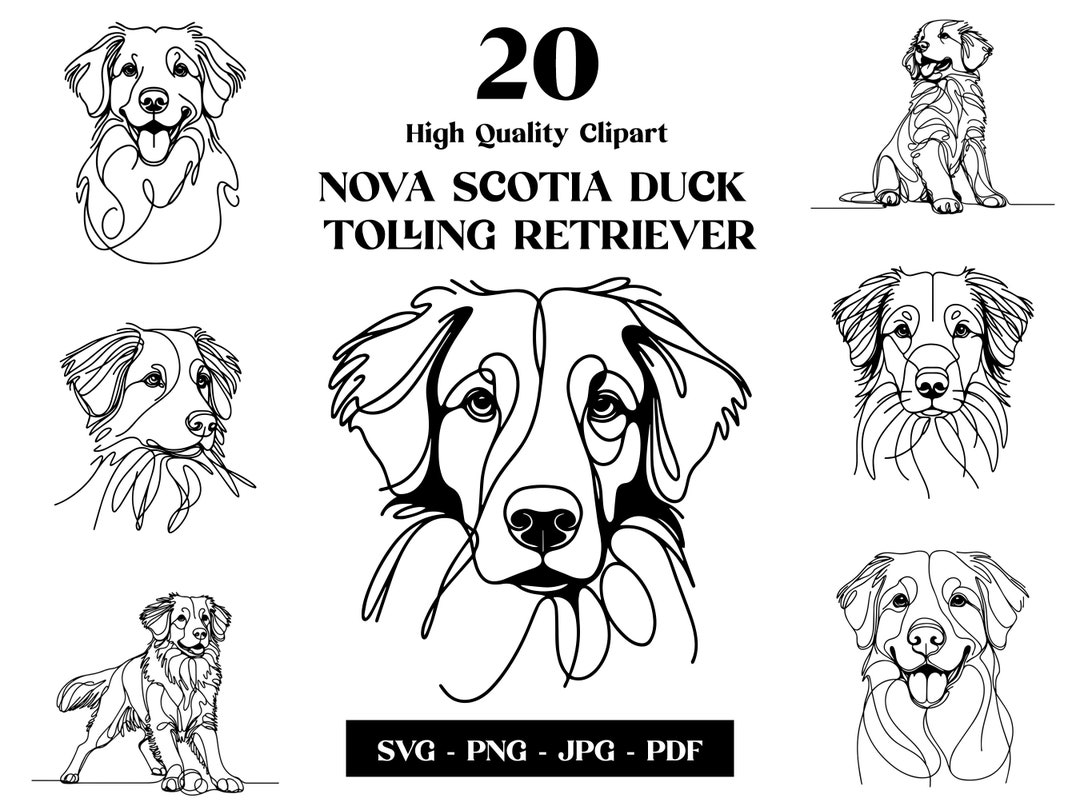 Nova Scotia Duck Tolling Retriever Clipart: Minimalist Line Art (SVG ...