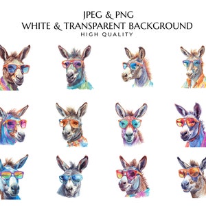 Watercolor Donkey Clipart With Sunglasses: Farm Animal Print (digital ...