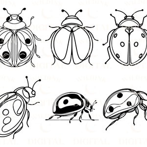 Ladybug SVG Clipart, Lady Beetle Minimalist Line Art, Logo Animal ...
