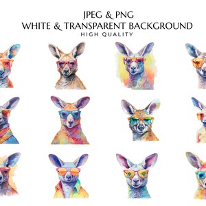 Watercolor Kangaroo Clipart With Sunglasses (digital Download) - Etsy
