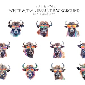 Watercolor Wildebeest Clipart With Sunglasses, 11 High-quality PNG ...
