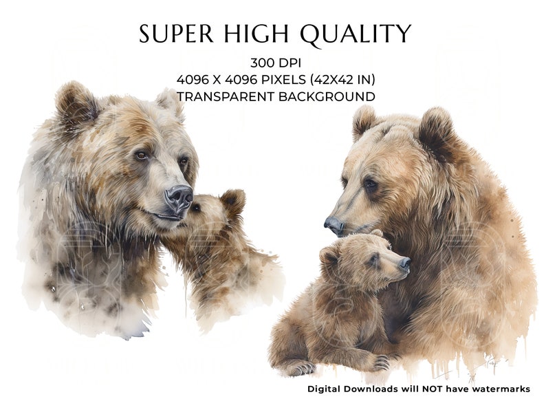 Mom and Baby Bear Clipart 10 High Quality Pngs Watercolor - Etsy