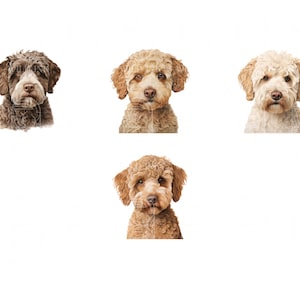 Watercolor Lagotto Romagnolo Clipart: Dog Mom/dad Gift (digital ...