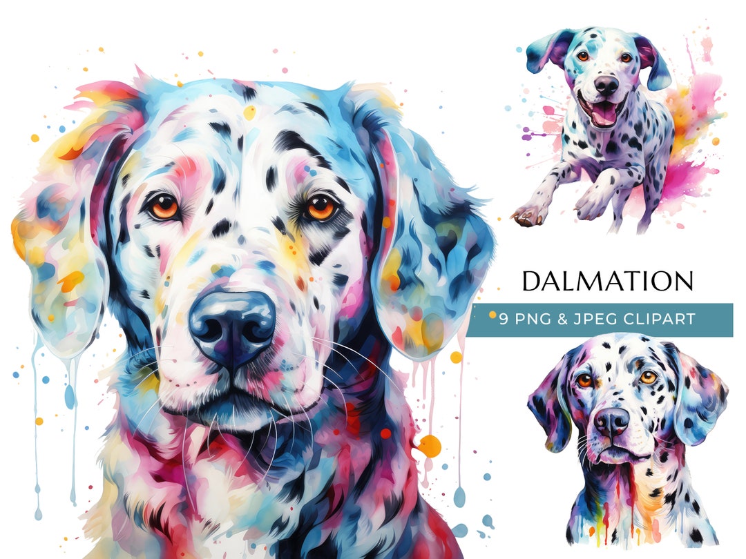 Watercolor Dalmatian Clipart – Colorful Dog PNG & JPEG (digital ...