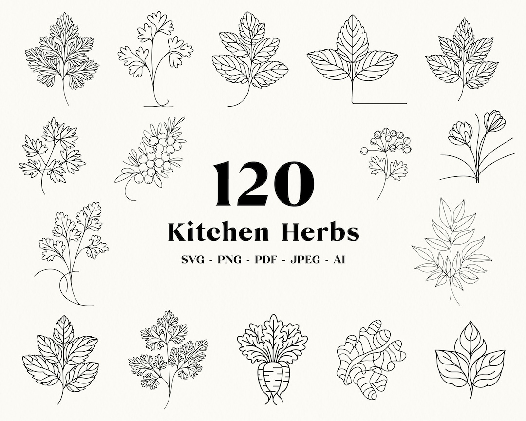 120 Kitchen Herb Line Art SVG Bundle: Farmhouse Clipart (digital ...