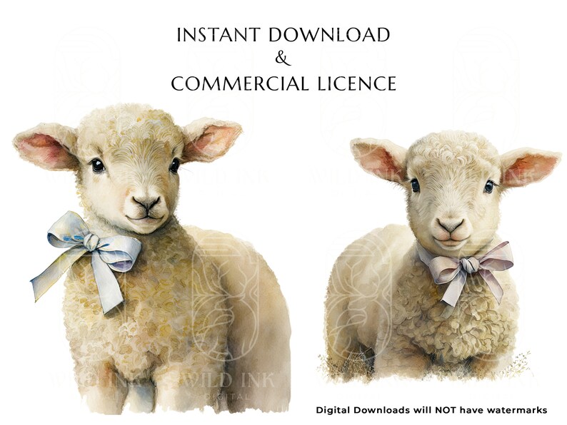 Baby Sheep With Bow Tie Watercolor Clipart of 13 Pngs Farm - Etsy