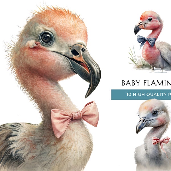 Baby Flamingo - Etsy
