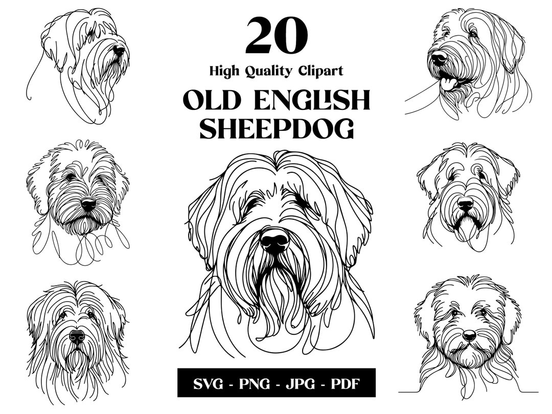 Old English Sheepdog SVG & PNG Clipart Bundle: Digital Line Art ...