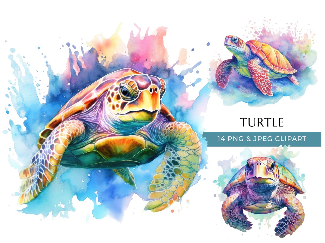 Watercolor Sea Turtle Clipart: 14 PNG & JPEG Graphics (digital Download ...