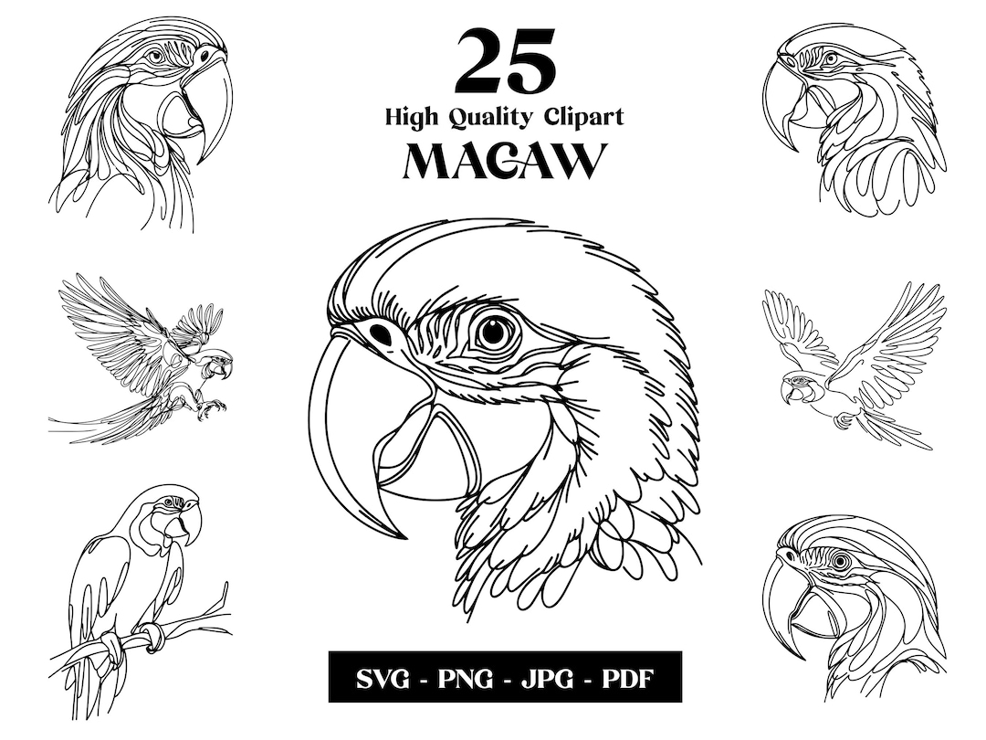 Macaw Line Art SVG Clipart: Modern Parrot Vector (digital Download) - Etsy