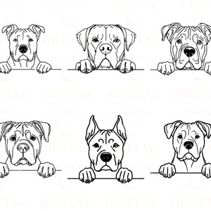 Dogo Argentino SVG & PNG Clipart Bundle: Digital Line Art, Minimalist ...