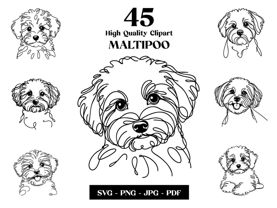 Maltipoo SVG & PNG Clipart Bundle: Digital Line Art, Minimalist Puppy ...