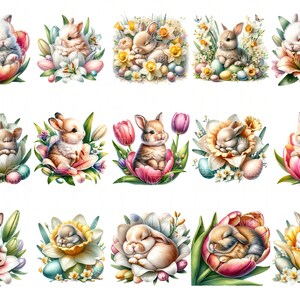 Watercolor Easter Bunny and Flowers Clipart Bundle 40 High Quality PNG ...