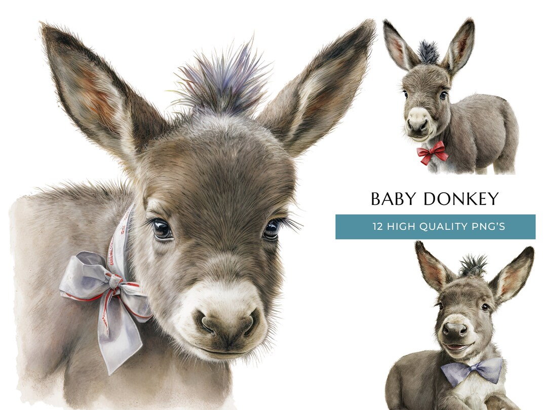 Baby Donkey Watercolor Clipart, Farm Animal Prints (digital Download ...