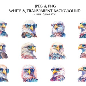 Watercolor Eagle Clipart With Sunglasses, 12 High-quality PNG & JPEG ...