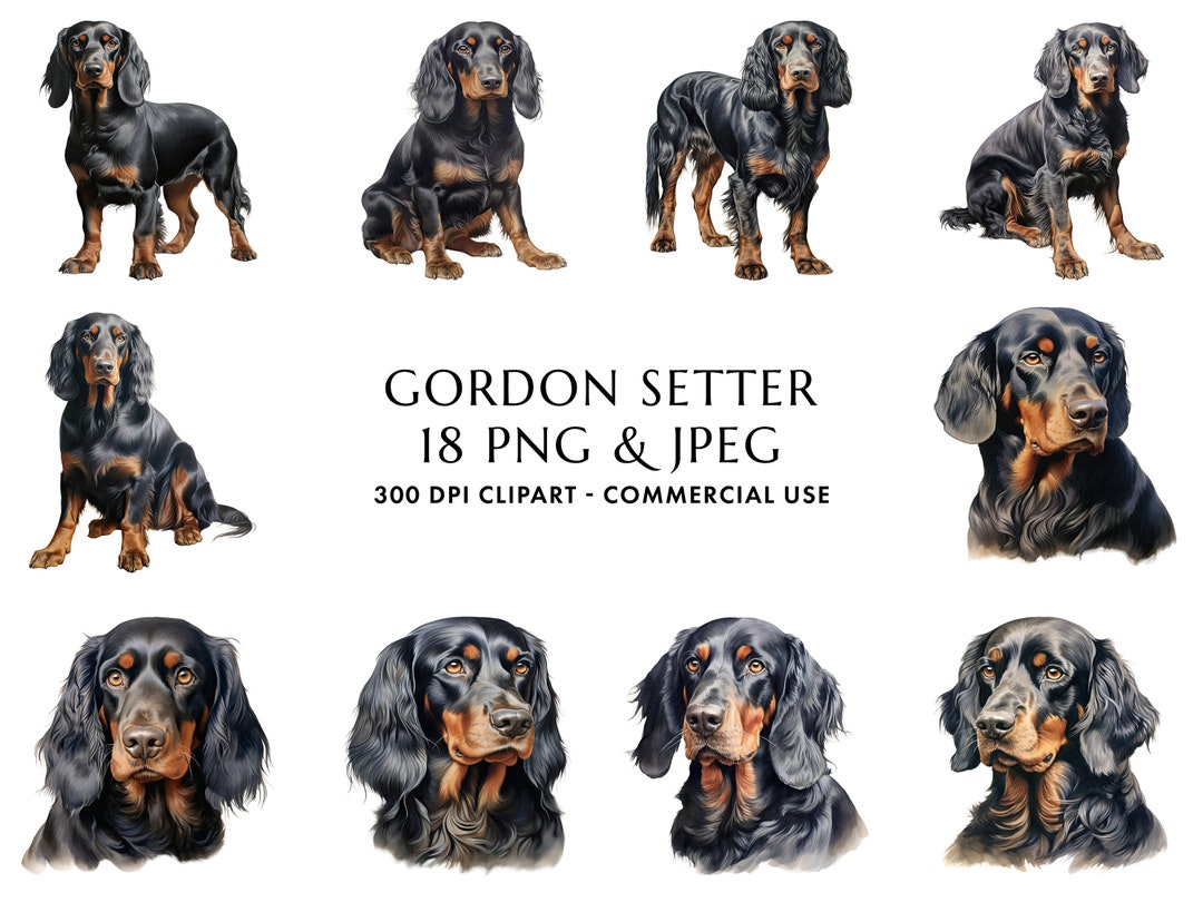 Watercolor Gordon Setter Clipart Bundle, Dog Mom Dad Gift (digital ...