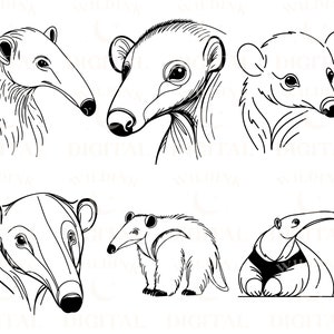 Giant Ant Eater SVG Clipart, Minimalist Line Art, Logo Animal Vector ...