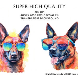 Cool Belgian Malinois Dog Clipart, 10 High Quality Pngs, Funny Dogs ...