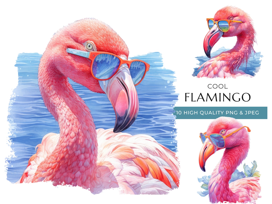 Watercolor Flamingo Clipart With Sunglasses, Tropical Animal Print ...