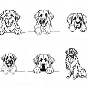 Leonberger Dog Line Art: Minimalist SVG PNG Clipart (digital Download ...