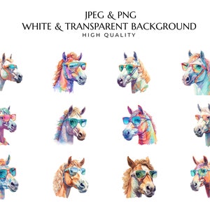 Watercolor Horse Clipart With Sunglasses: Farm Animal PNG JPEG (digital ...