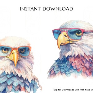 Watercolor Eagle Clipart With Sunglasses (digital Download) - Etsy