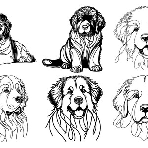 Newfoundland Dog Line Art Bundle: Minimalist SVG PNG Clipart (digital ...
