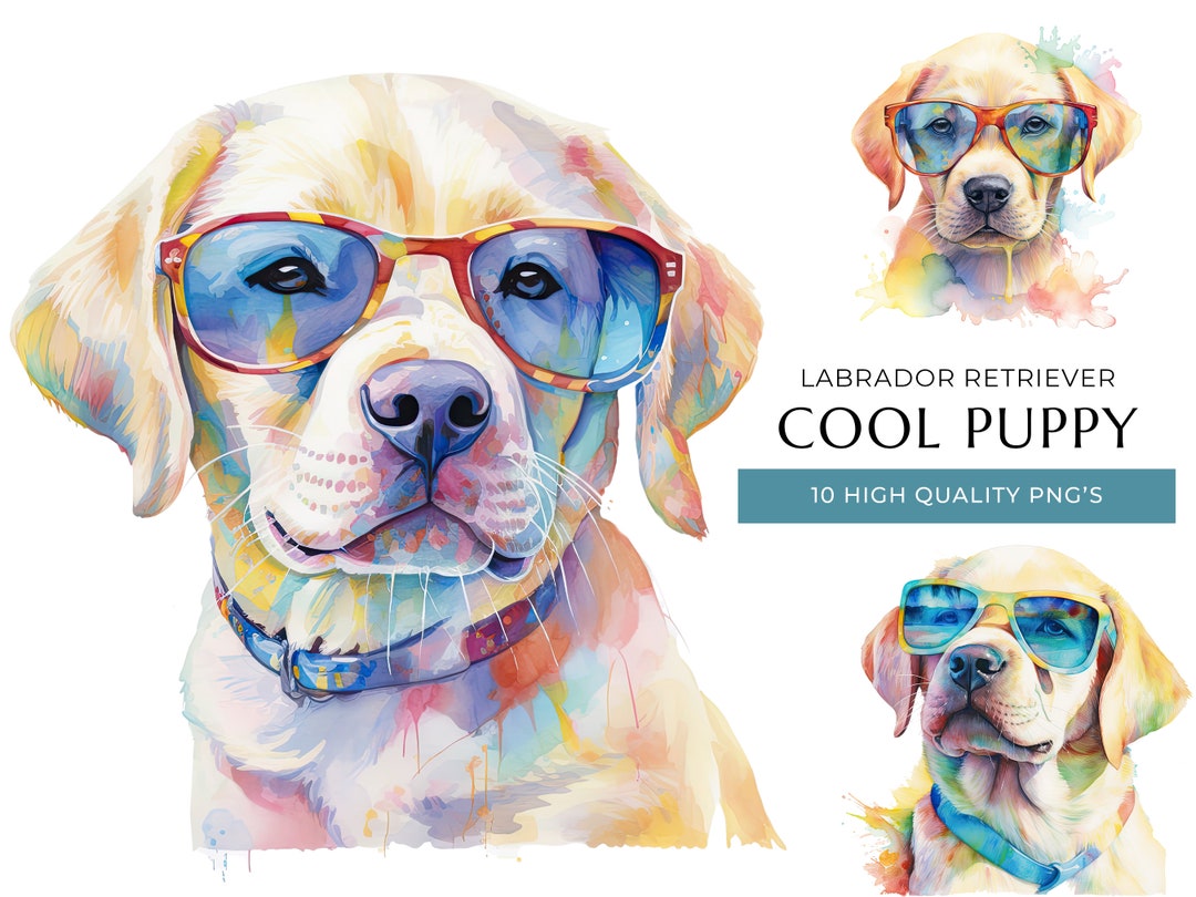 Cool Labrador Retriever Puppy Dog Clipart, 10 High Quality Pngs, Funny ...