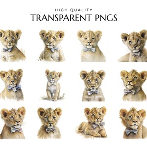 Baby Lion Watercolor Clipart: Safari Nursery Art (digital Download) - Etsy