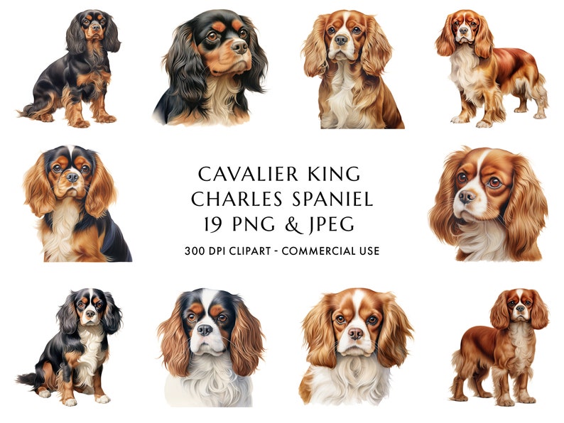 Watercolor Cavalier King Charles Spaniel Clipart Bundle (digital ...