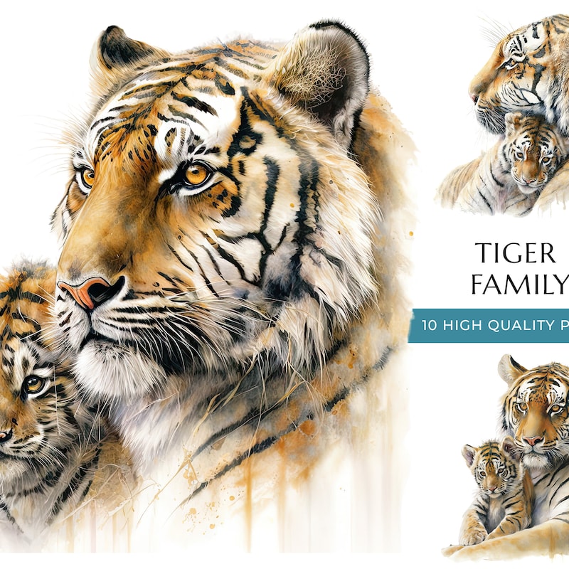 Real Tiger Baby - Etsy