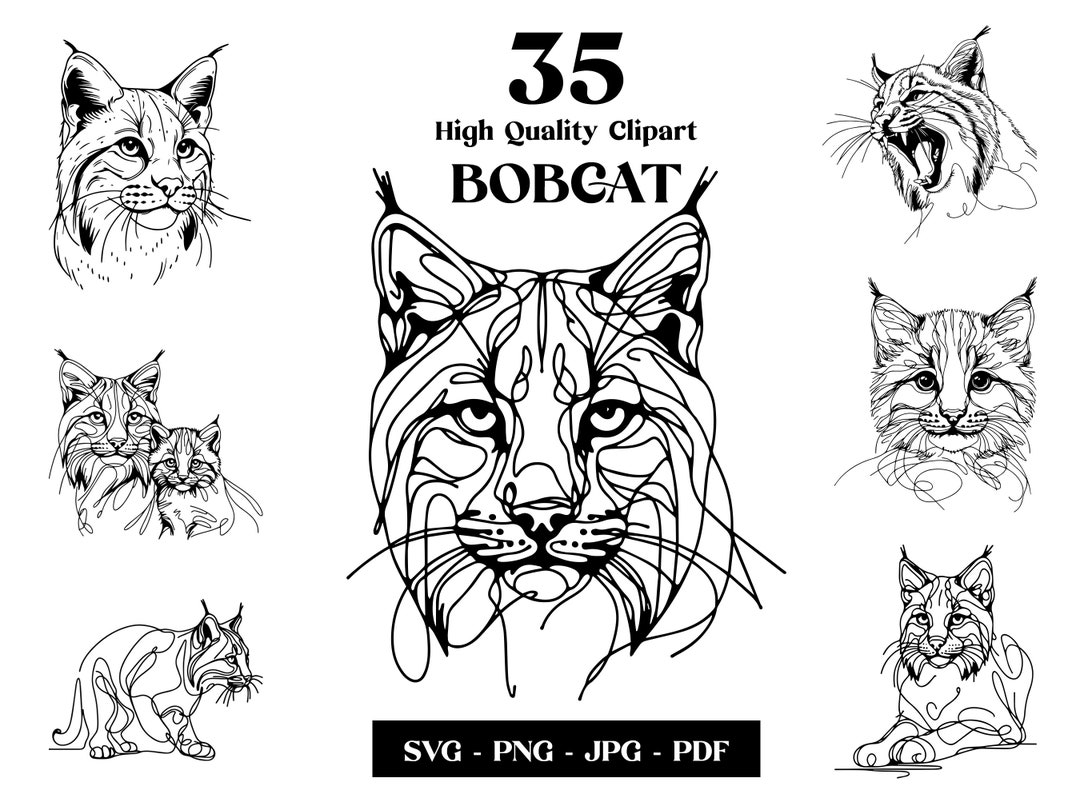 Bobcat SVG Clipart: Minimalist Line Art Vector (digital Download) - Etsy