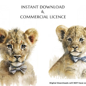 Baby Lion Watercolor Clipart: Safari Nursery Art (digital Download) - Etsy