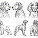 Irish Setter Line Art: Minimalist Dog SVG PNG Clipart (digital Download ...