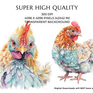 Rooster Watercolor Clipart 14 Pngs, Farm Theme, Wall Art Print, Chicken ...