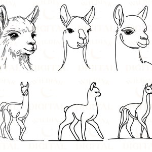 Vicuña Line Art SVG: Minimalist Animal Logo, Tattoo Design (digital ...
