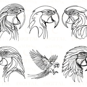 Macaw Line Art SVG Clipart: Modern Parrot Vector (digital Download) - Etsy