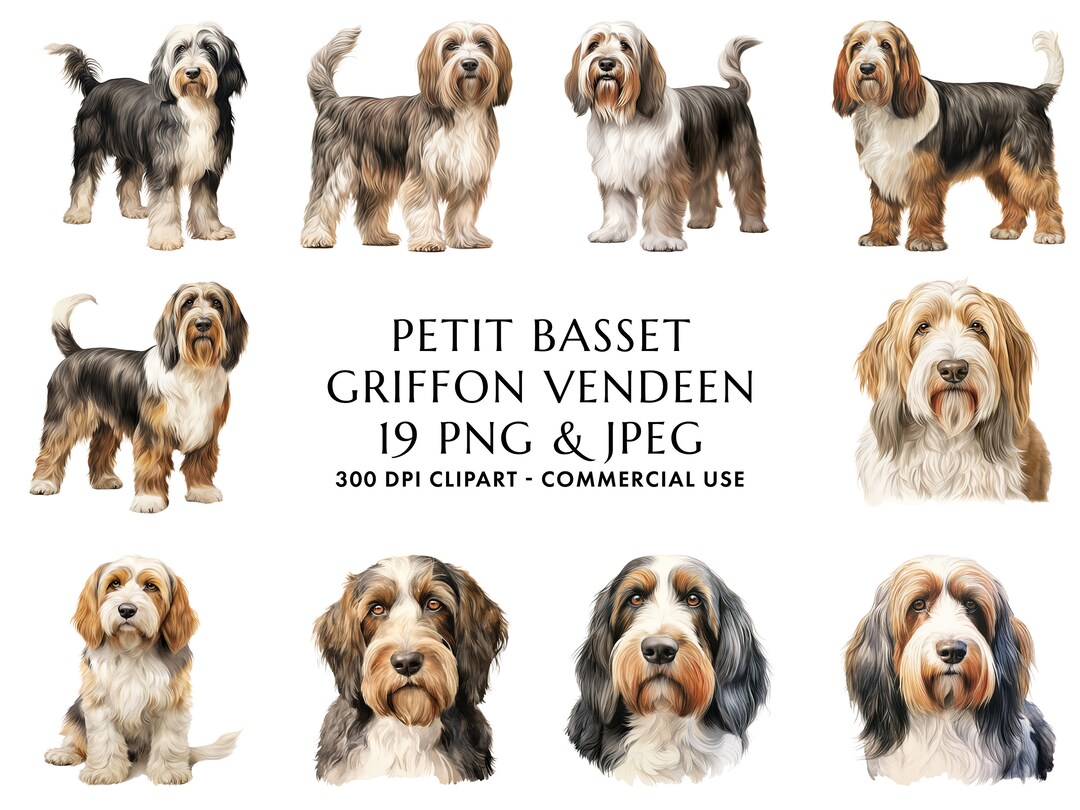 Watercolor PBGV Clipart Bundle, Dog Mom Gift (digital Download) - Etsy