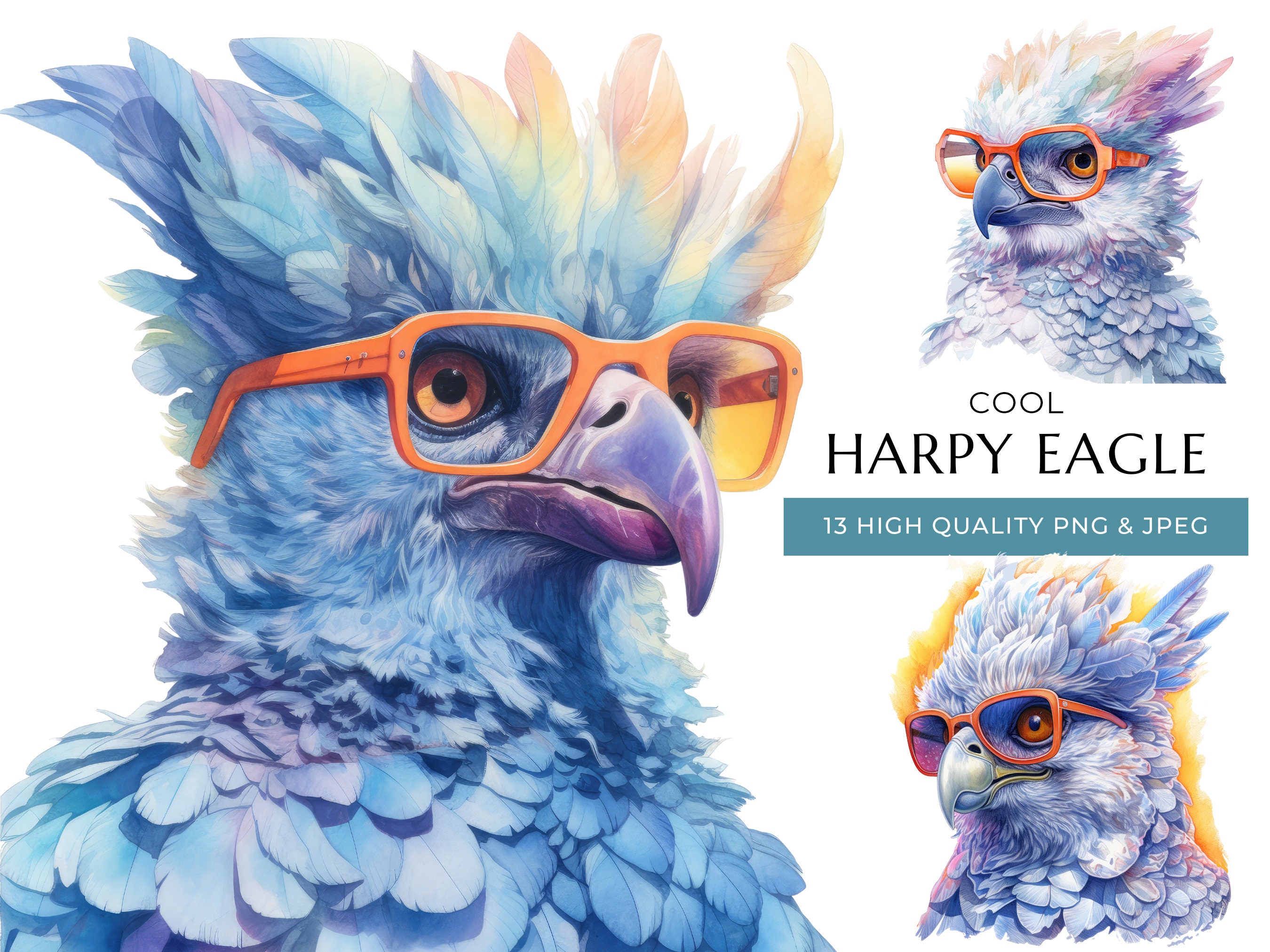 Watercolor Harpy Eagle Clipart With Sunglasses 13 - Etsy UK