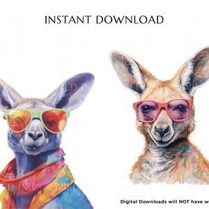 Watercolor Kangaroo Clipart With Sunglasses (digital Download) - Etsy