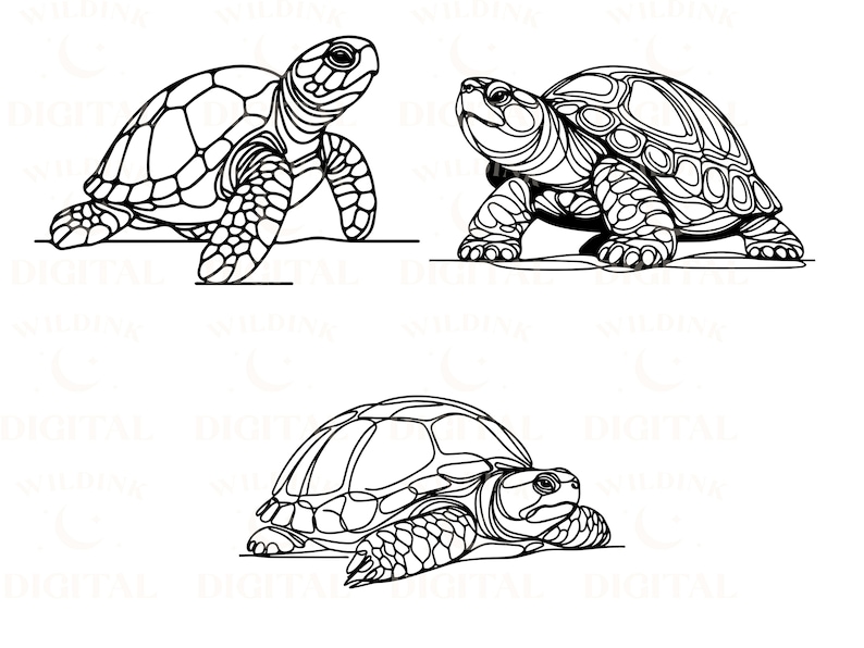 Turtle SVG Clipart: Minimalist Line Art Animal Vector (digital Download ...