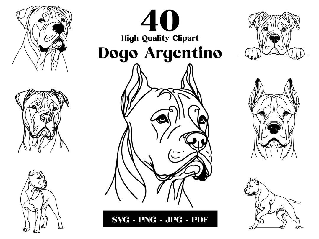 Dogo Argentino SVG & PNG Clipart Bundle: Digital Line Art, Minimalist ...