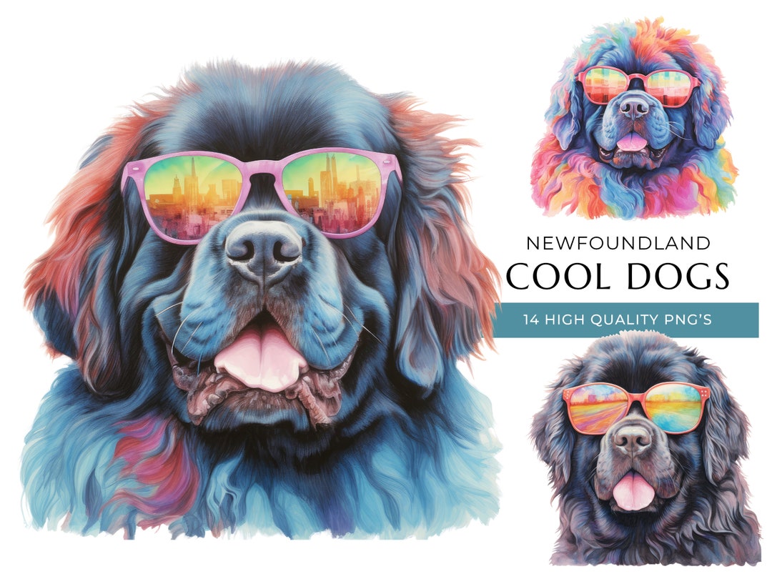 Cool Newfoundland Dog Clipart, 14 High Quality Pngs, Funny Dogs With ...