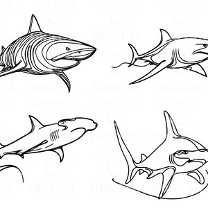 Shark Line Art SVG Clipart: Minimalist Tattoo Design (digital Download ...