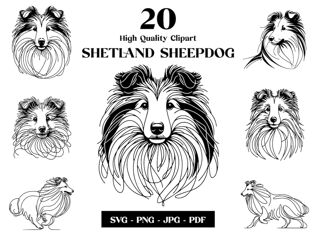Shetland Sheepdog SVG & PNG Clipart Bundle: Sheltie Digital Line Art ...