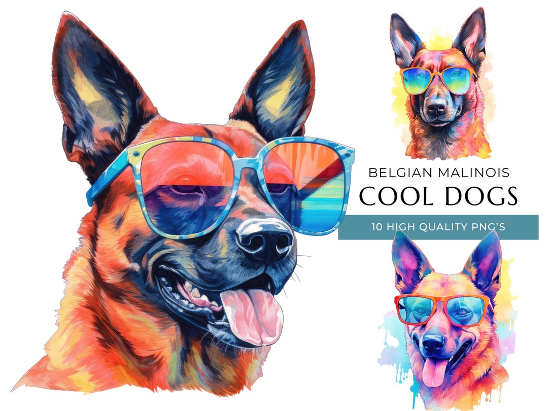 Cool Belgian Malinois Dog Clipart, 10 High Quality Pngs, Funny Dogs ...