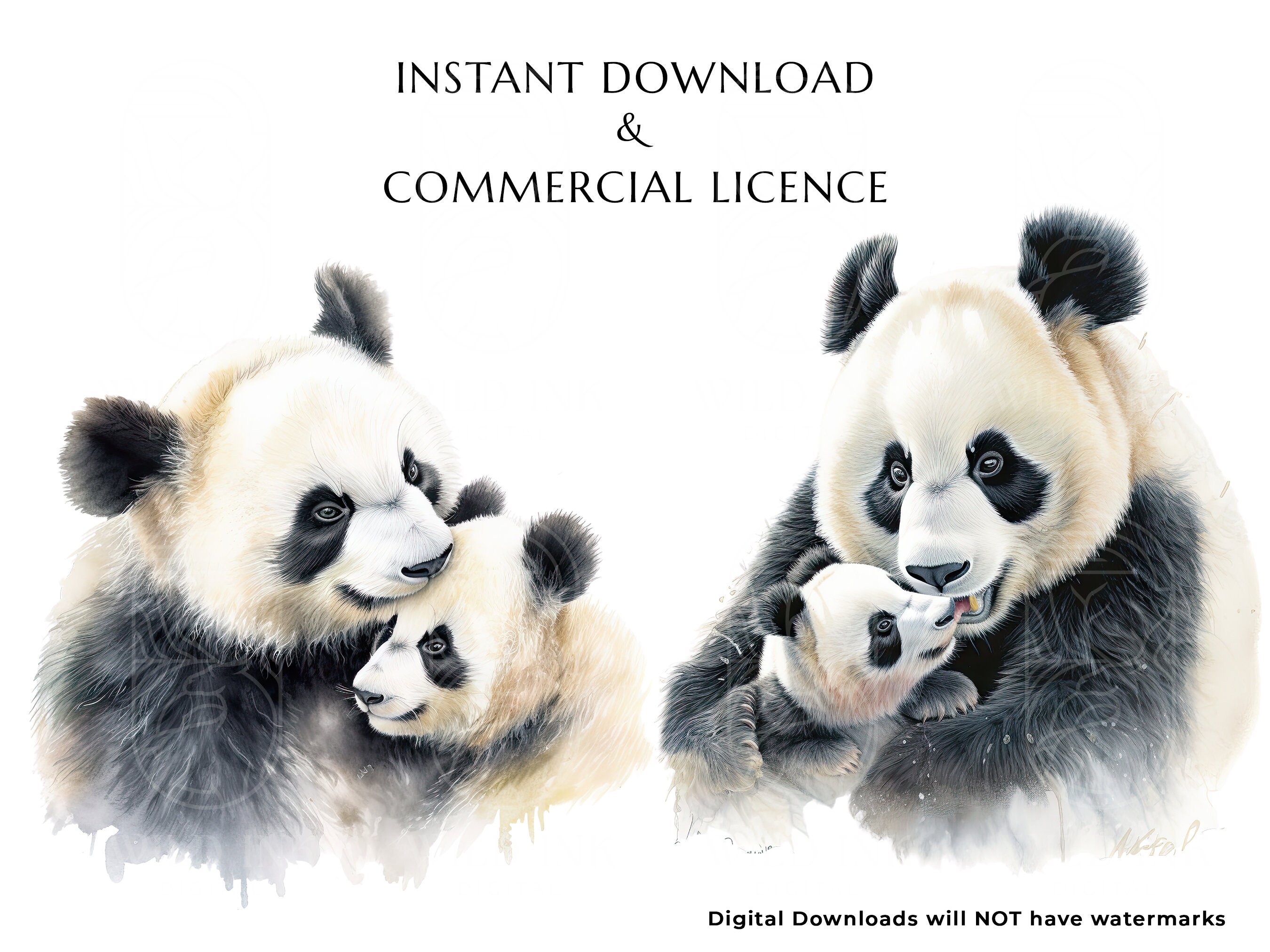 Mom and Baby Panda Bear Clipart 12 High Quality Pngs - Etsy