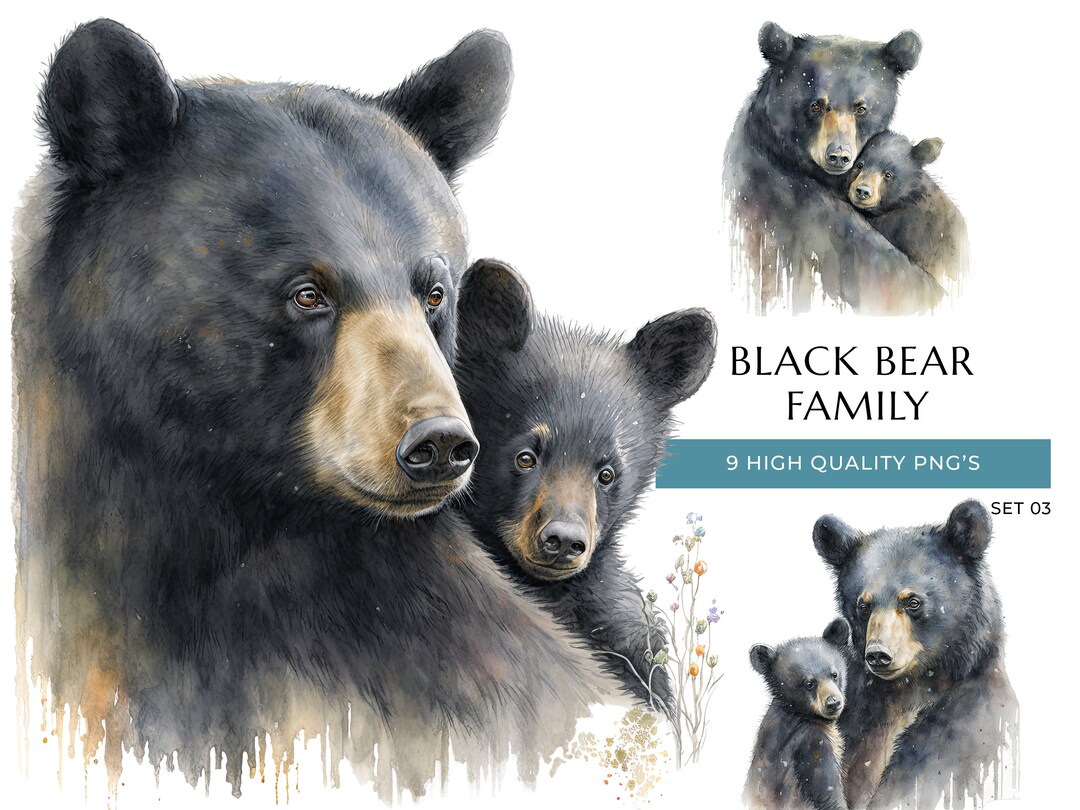 Mom and Baby Bear Clipart, 9 High Quality Pngs, Watercolor Cute Mama ...