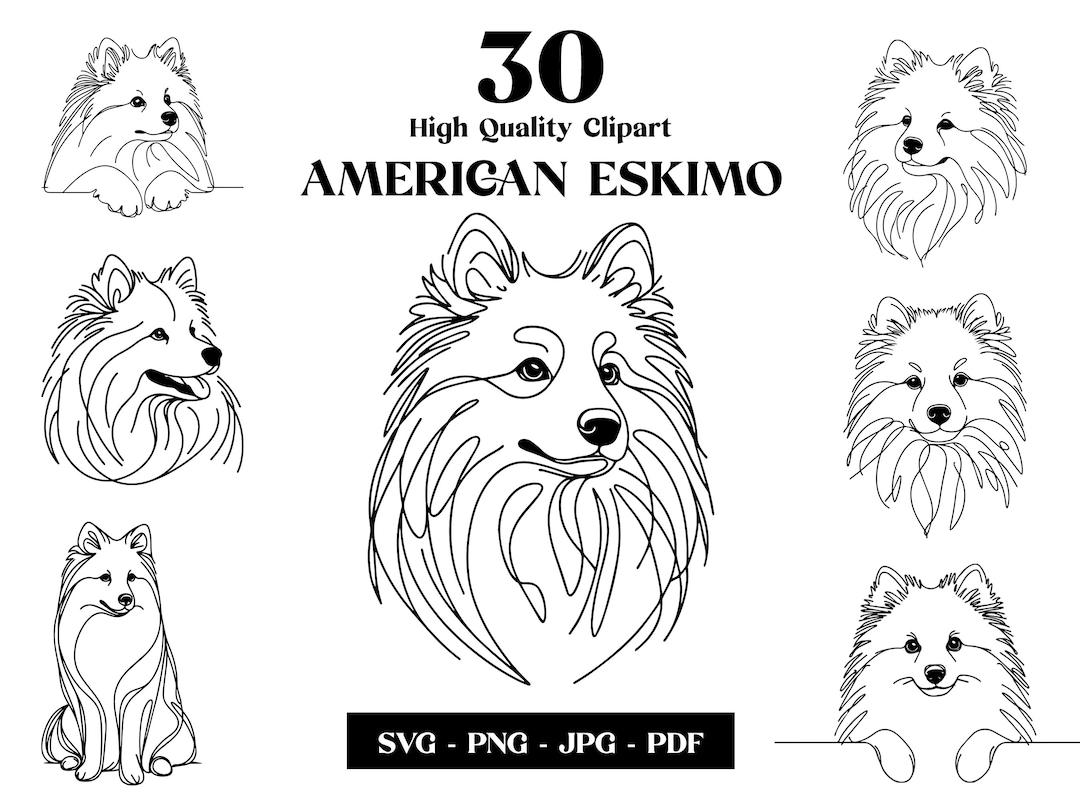 American Eskimo SVG & PNG Clipart Bundle: Digital Line Art, Minimalist ...